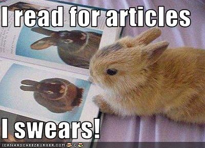 Rabbit Ramblings: Funny Bunny Monday Meme*day