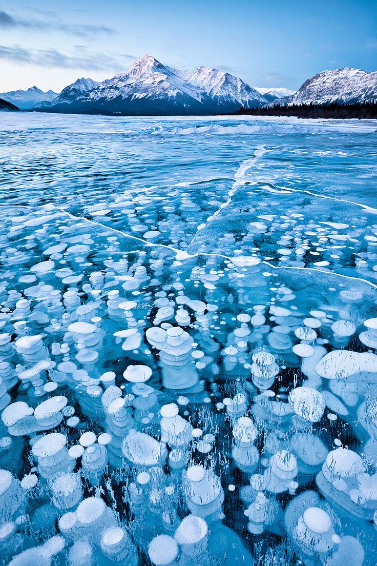 amazing places: Abraham Lake