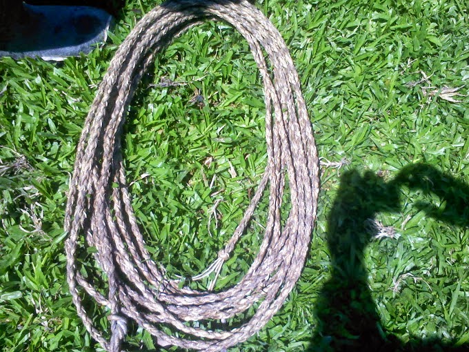 Nuestras cultura, Nuestro llano = Nuestra riqueza: Marota