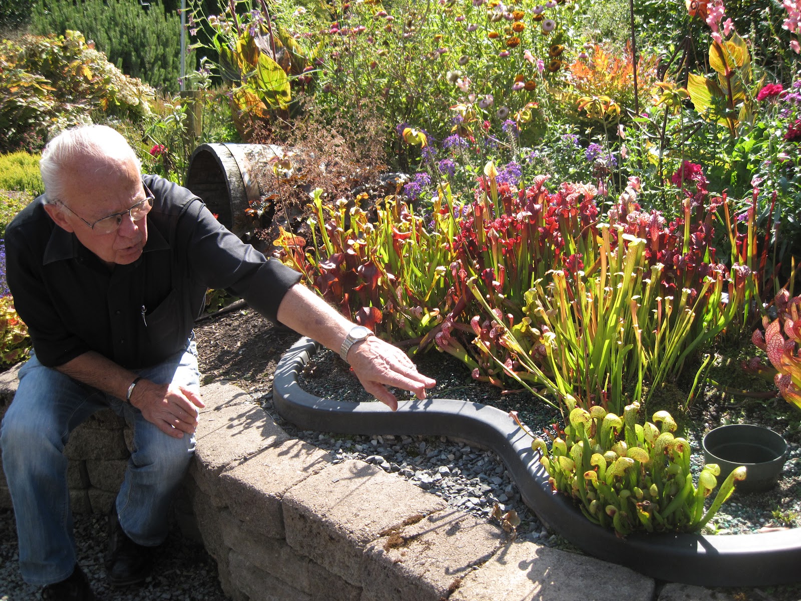 Bonney Lassie: A Visit to the Ed Hume Display Garden