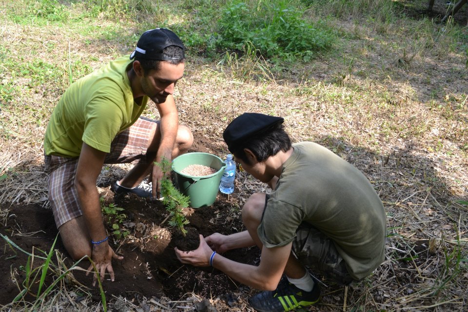 UAM International Programs: UAM Students Dressed-up in Green ...