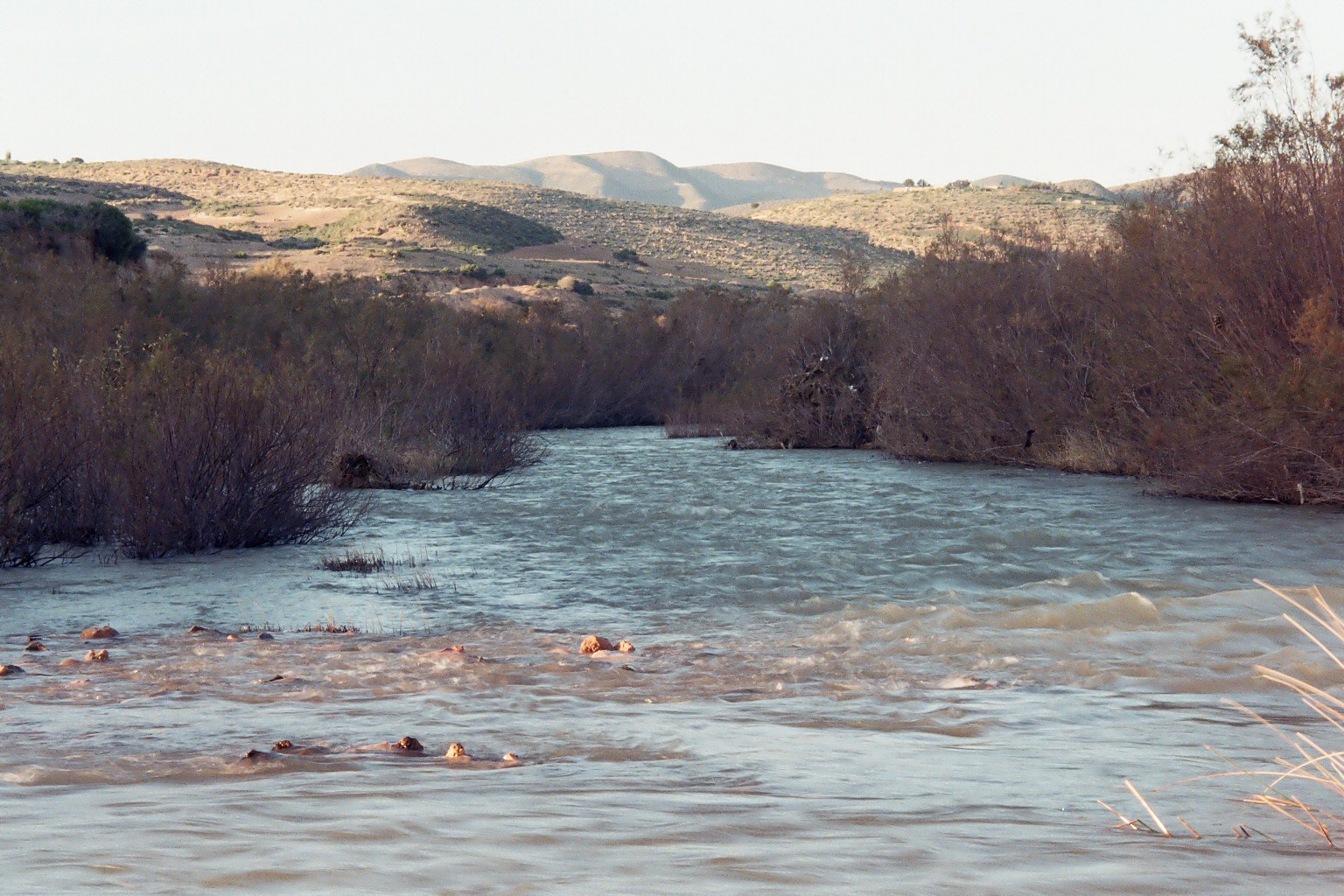 MARRUECOSAVENTURA: Río Moulouya (noreste de Marruecos)