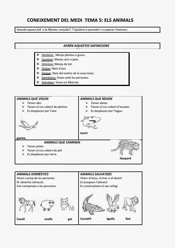 Blog dedicat als mestres de primària - Recursos educatius, activitats i ...