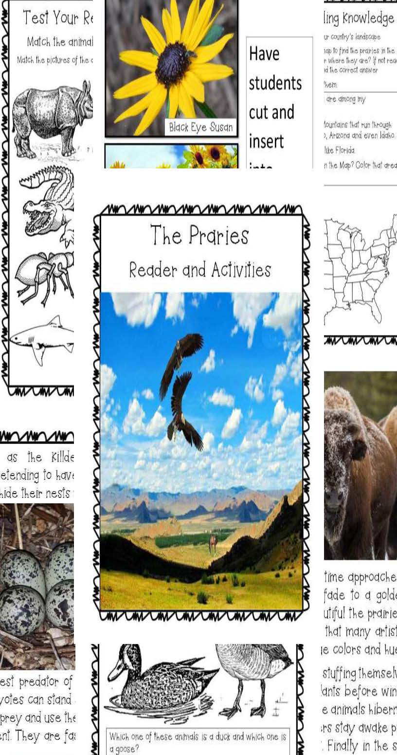 The Hermit Crabs Homeschool: Prairies Unit of Study