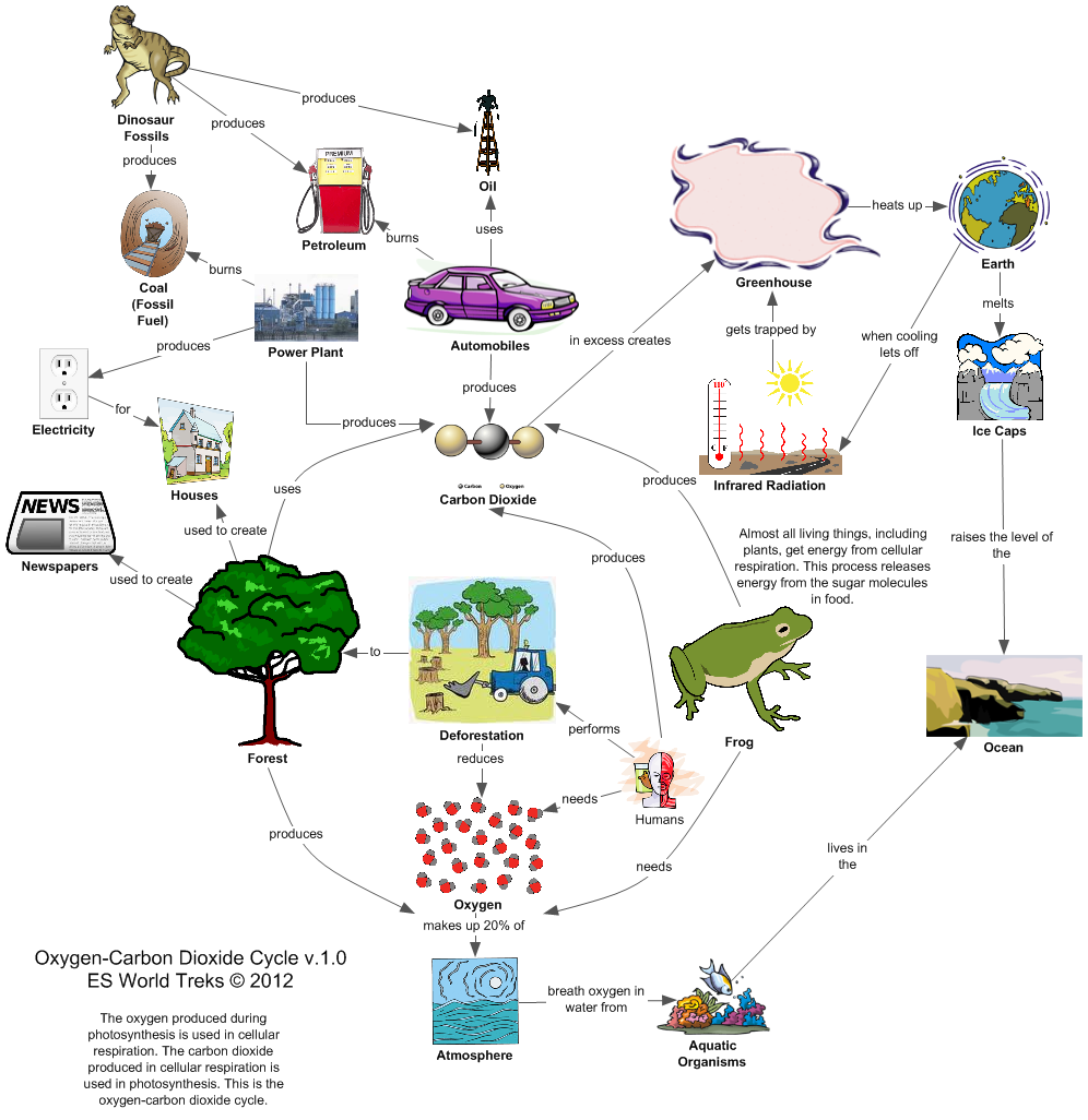 MALIK GK POWER: CARBON OXYGEN CYCLE
