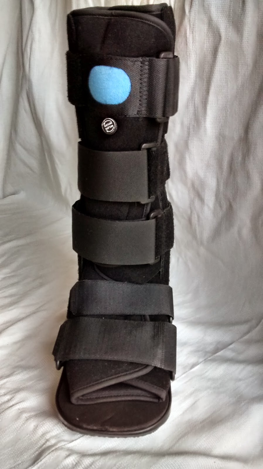 malinali: FERULA S NEUMATICA S2