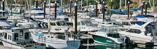 Save Our Chetco River: Chetco River