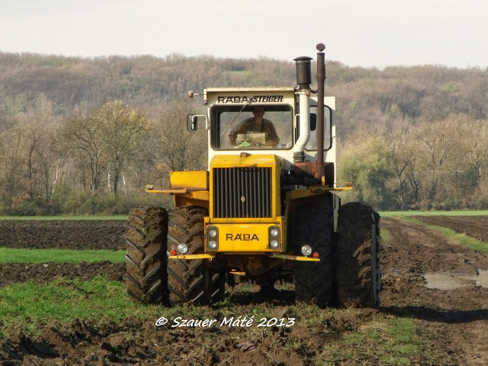 ..Mezőgépek..: Lazítózás Rába-Steiger 250