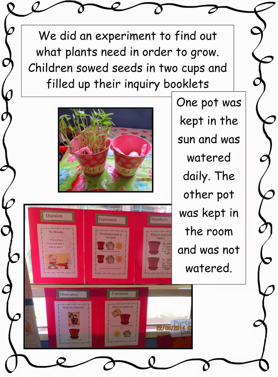 Spoonfuls of Kindergarten: Plants