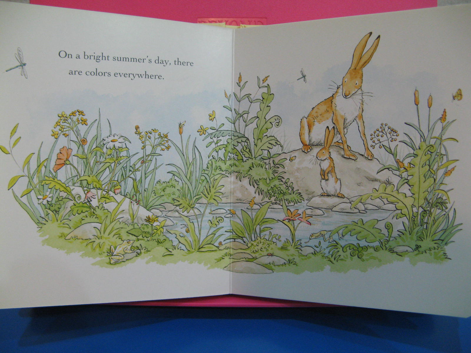 Book: Colors Everywhere (board book) | NINOS SHOP