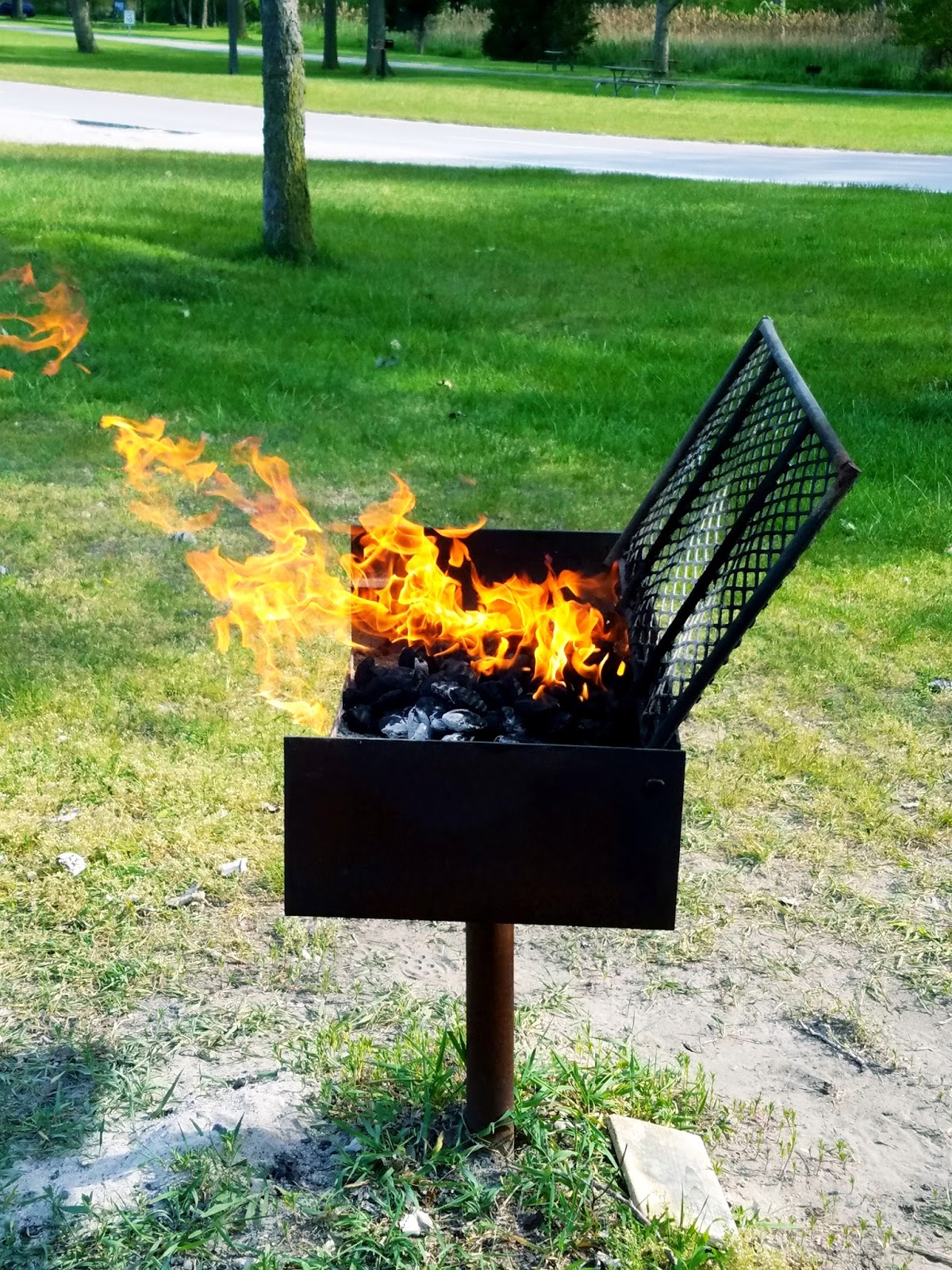 CrimsnMacchiato: Impromptu Picnic and Anniversary Celebration ...