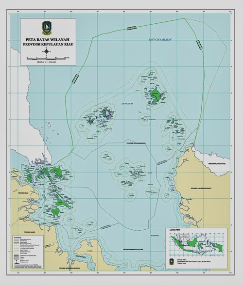 aku orang Indonesia: Stratigrafi Regional Cekungan Natuna Timur
