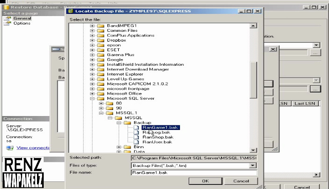 How to Make Ran Online Private Server Part 4 - Restoring Database ...
