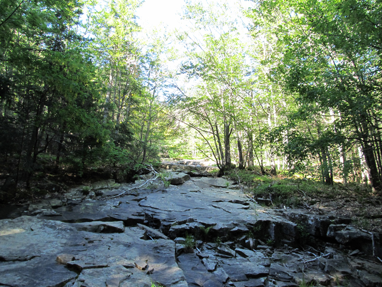 Escursionismo a 360°: Alpe Tre Potenze e Gomito (per il Lago del Greppo) EE
