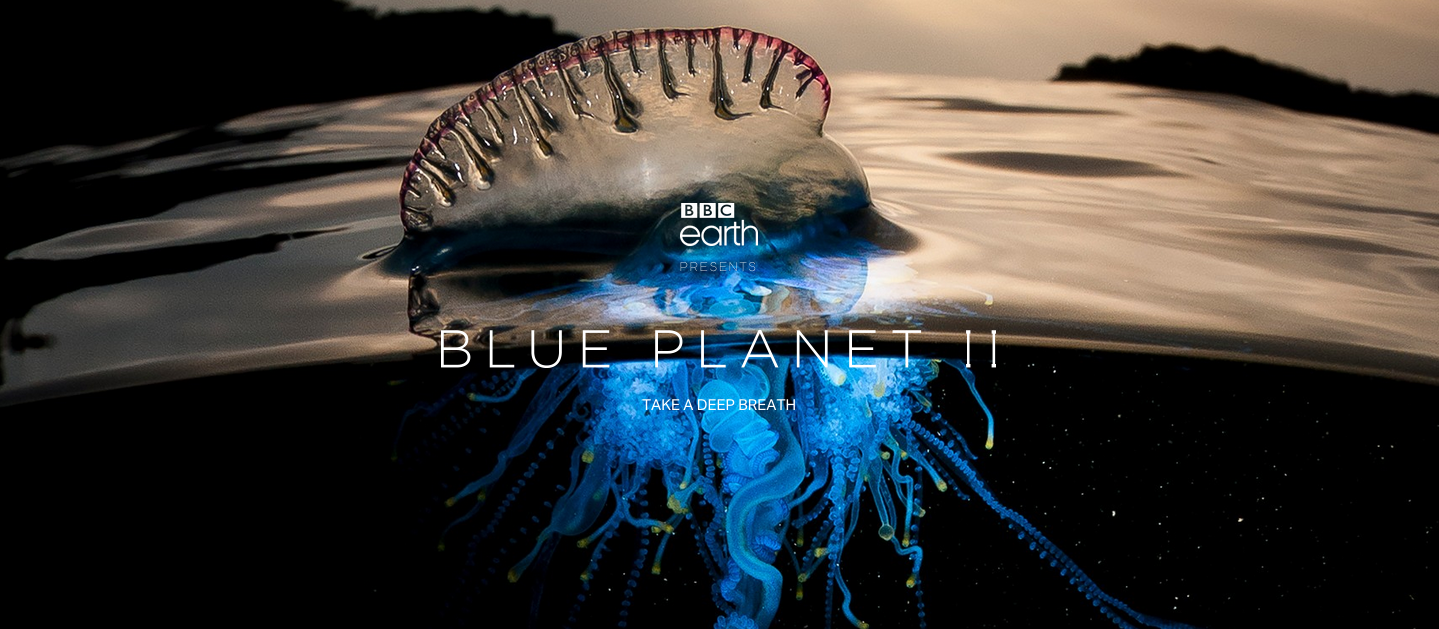 Take a deep breath - Blue Planet 2 - BBCearth - Kathrynsky's