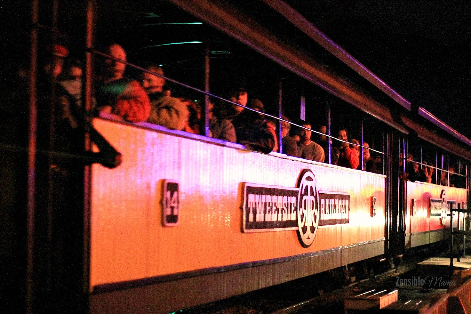 Zensible Mama: A Ghostly Ride Aboard The Ghost Train