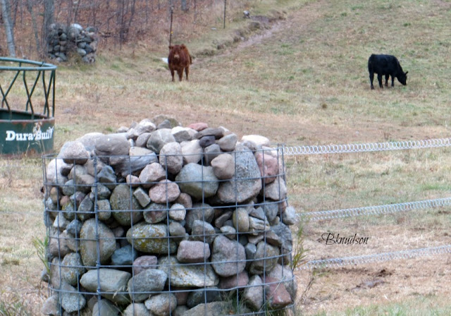 Has anyone made fence posts with rocks and galvanized steel fencing ...