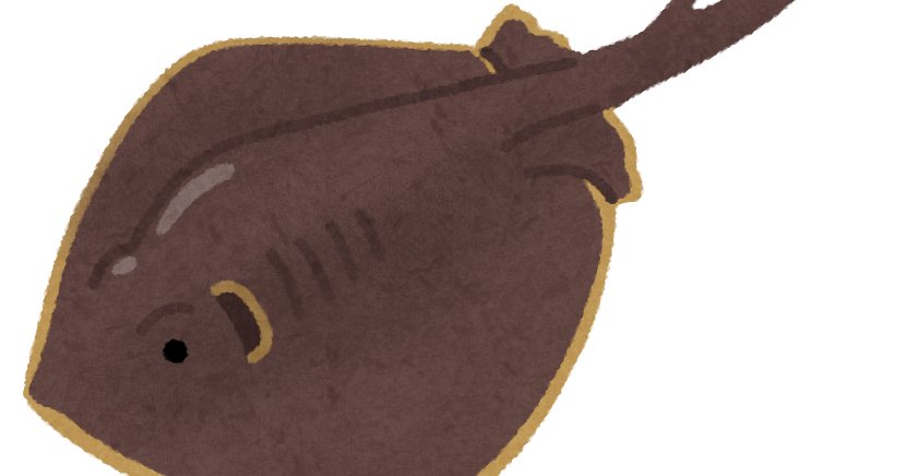 アカエイのイラスト | かわいいフリー素材集 いらすとや