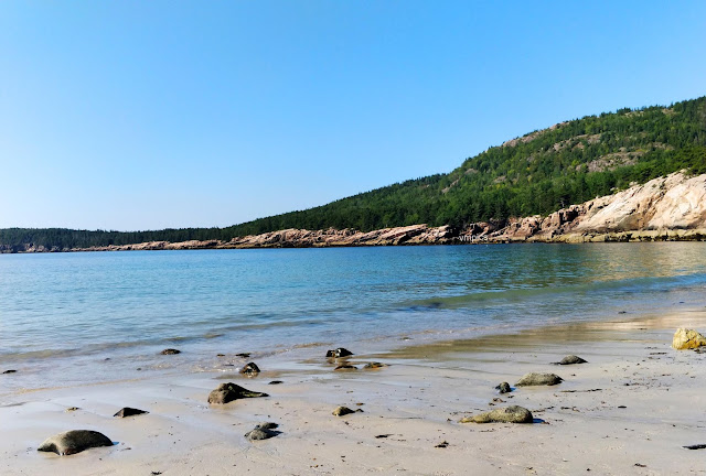 A Day in Acadia National Park