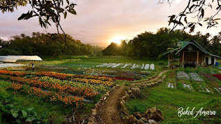 My Asian Secret Garden: Cultivating Happiness at Bukid Amara
