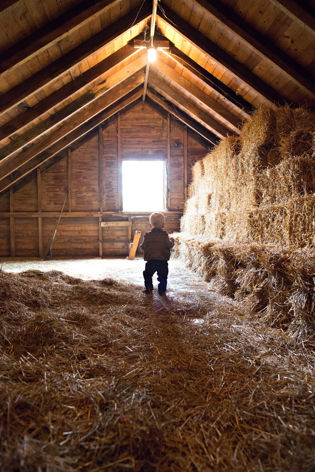 Ashley Thunder Events: Modern Rustic Farm Family Photos {Balee Images}