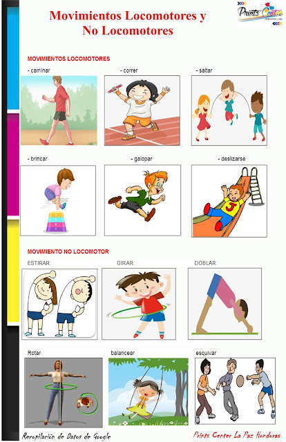 32 Anlisis De Los Movimientos Sistema Locomotor