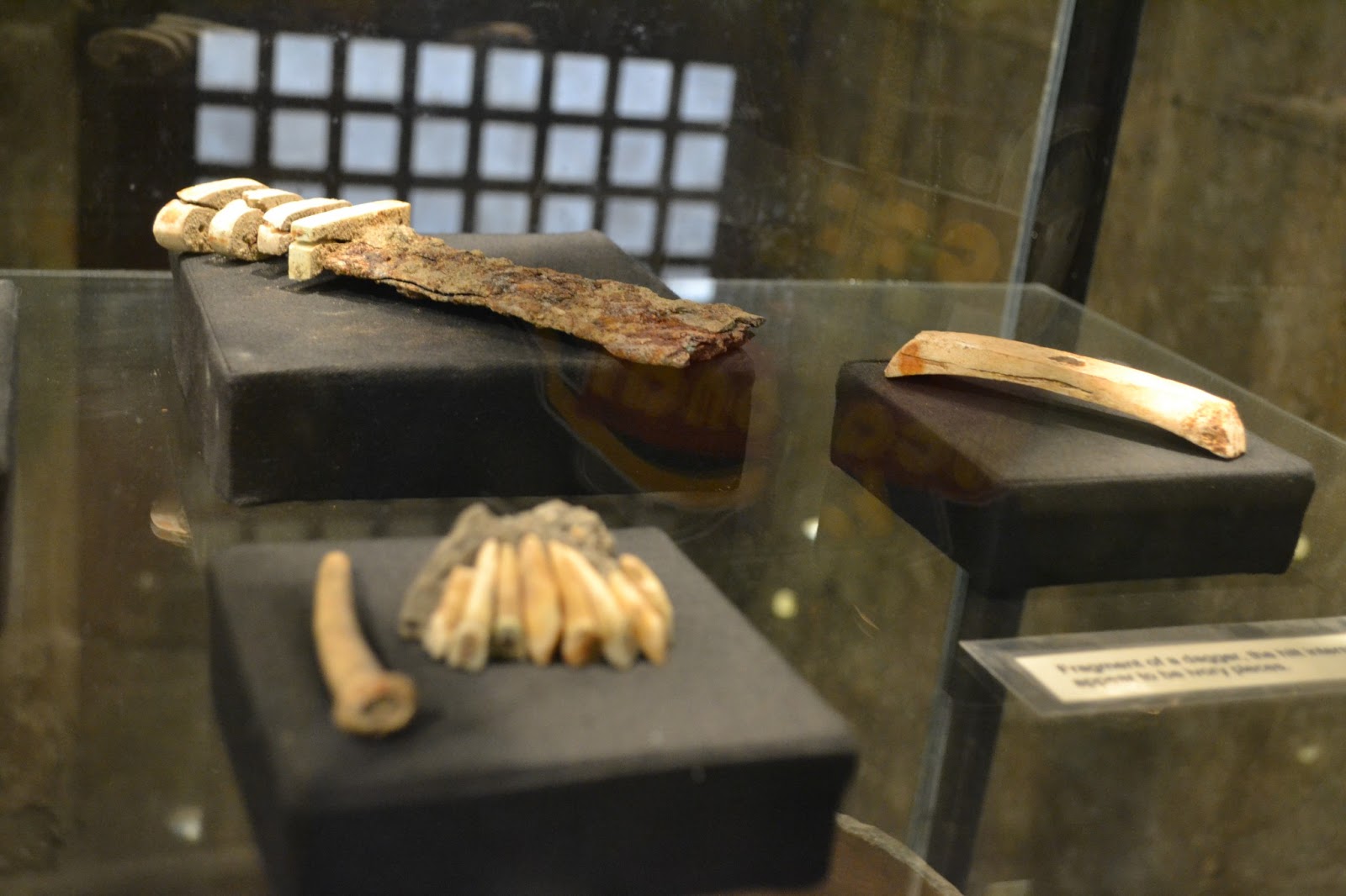 Nikon's Best DSLR Cameras