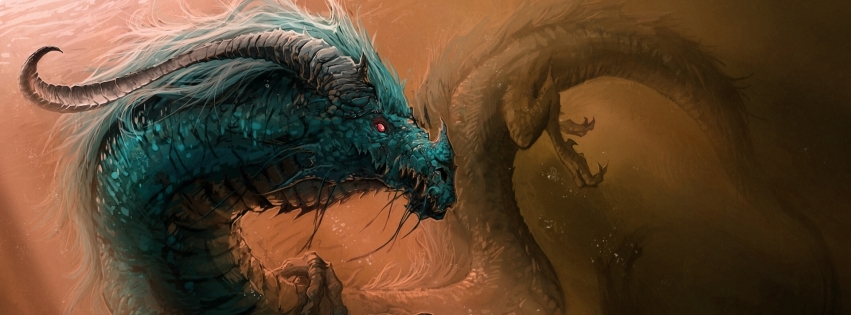 Dragon Facebook Covers - Học tiếng nhật, java và mọi thứ