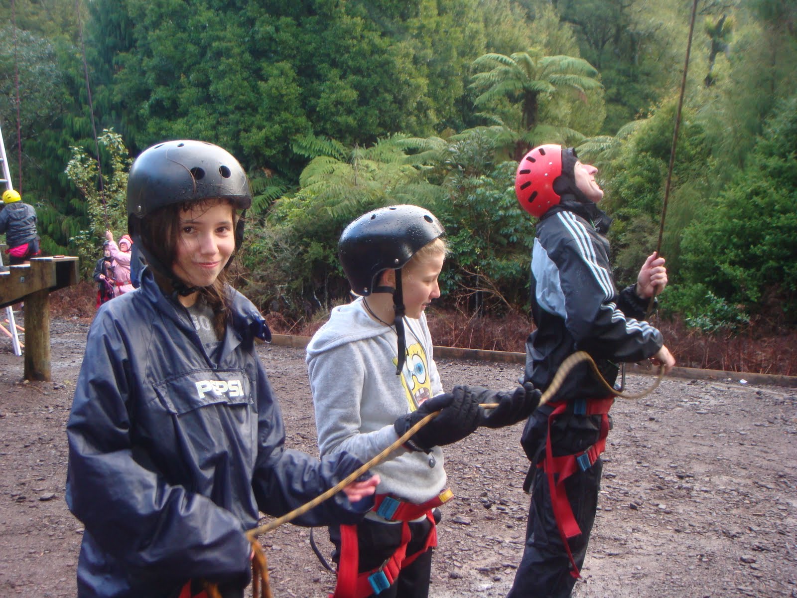 Kahikatea DLU: Tui Ridge Camp 2011