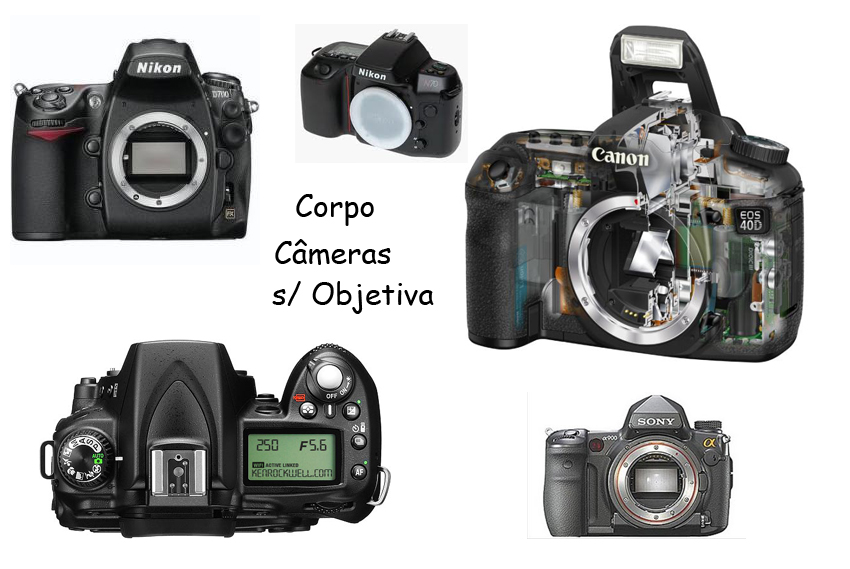 A Fotografia de ManoelleiteRibeiro: DICAS Fotográficas