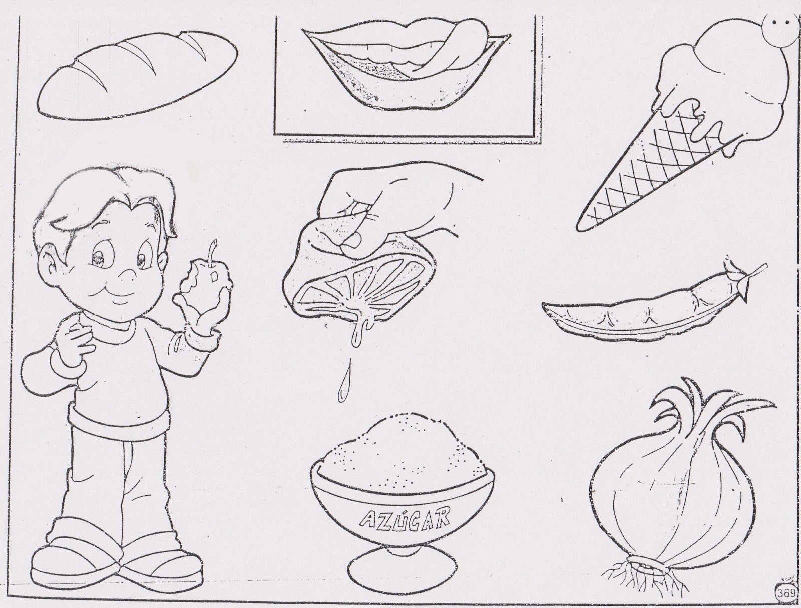 Blog de Ciencias Naturales de Primaria: Los 5 sentidos: Gusto