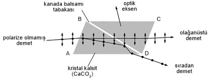 Prof. Dr. Bilsen Beşergil: Polarimetri (polarimetry)