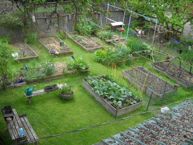 21st Street Urban Homestead: Crop Rotation with Chickens