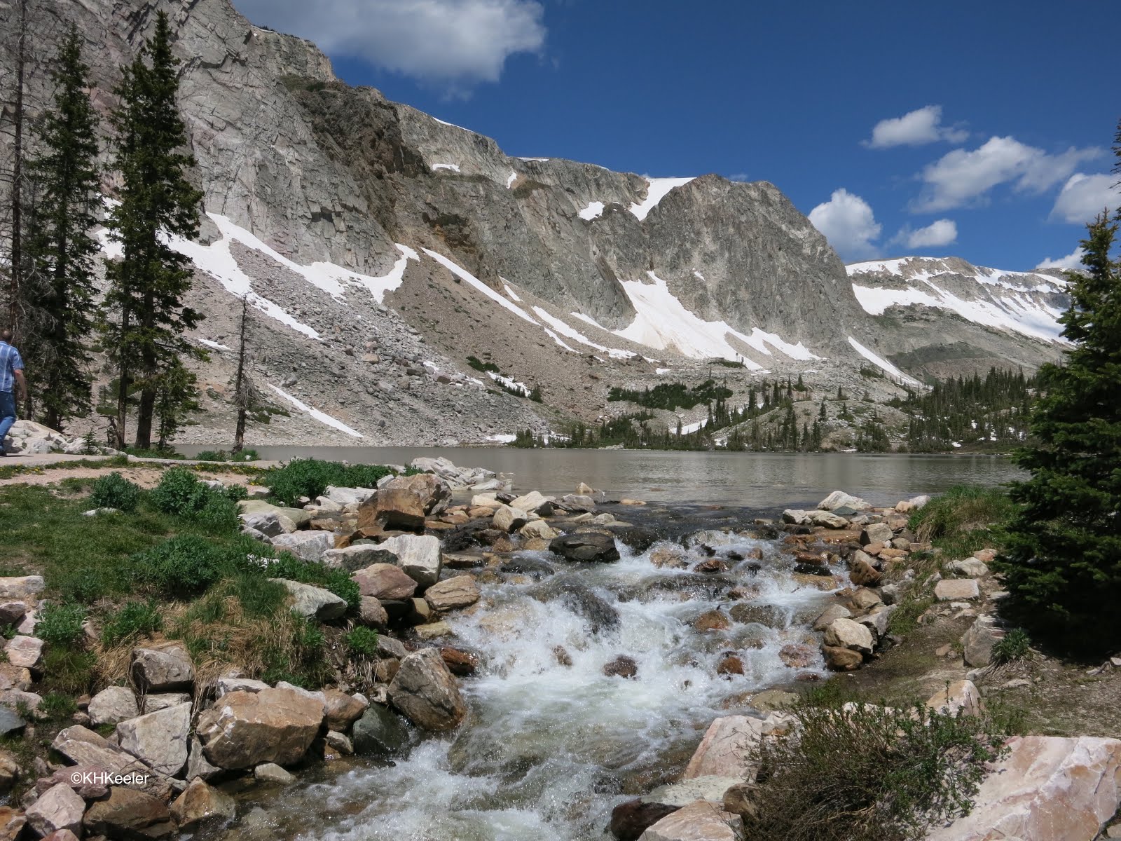 A Wandering Botanist: Visiting Wyoming--Wildflowers of the Snowy Range
