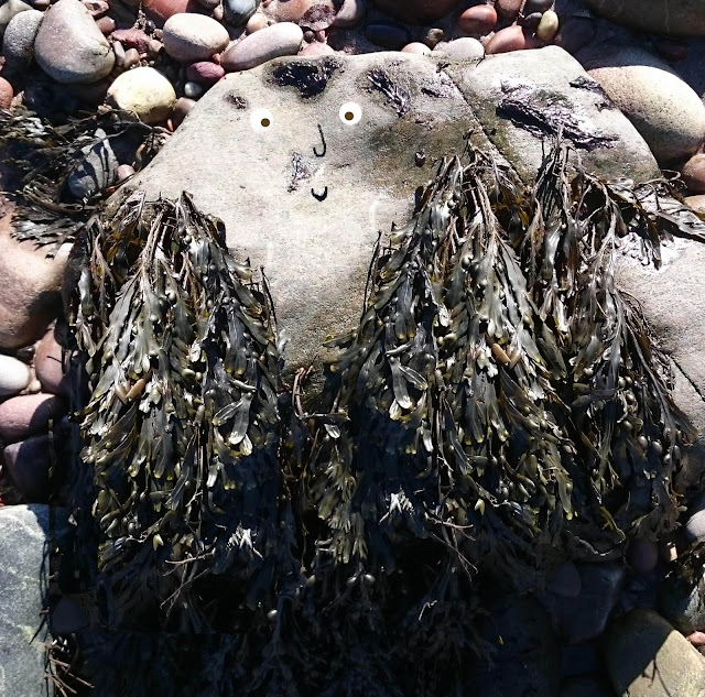 the art room plant: Tangleha, tangled beards.