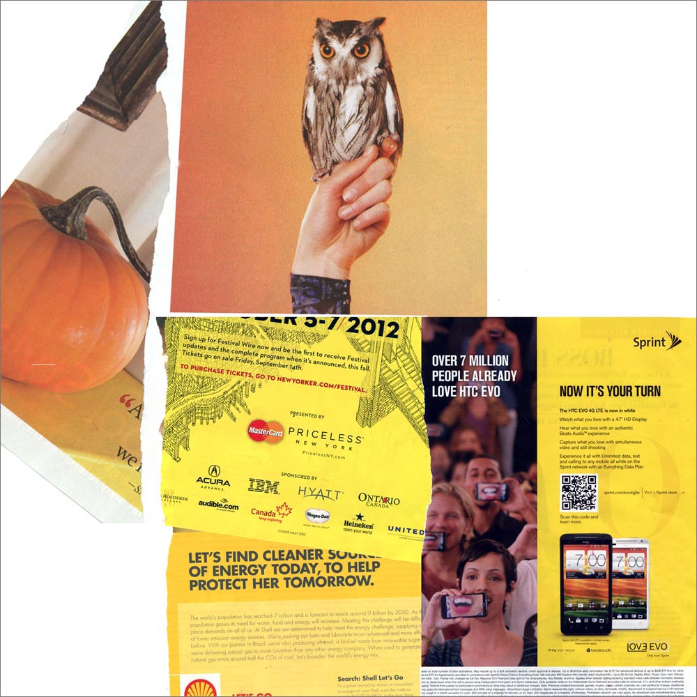 Torn Duck Collage - Art Projects for Kids