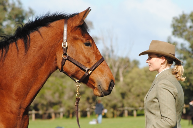 Horse Life and Love: The Waler
