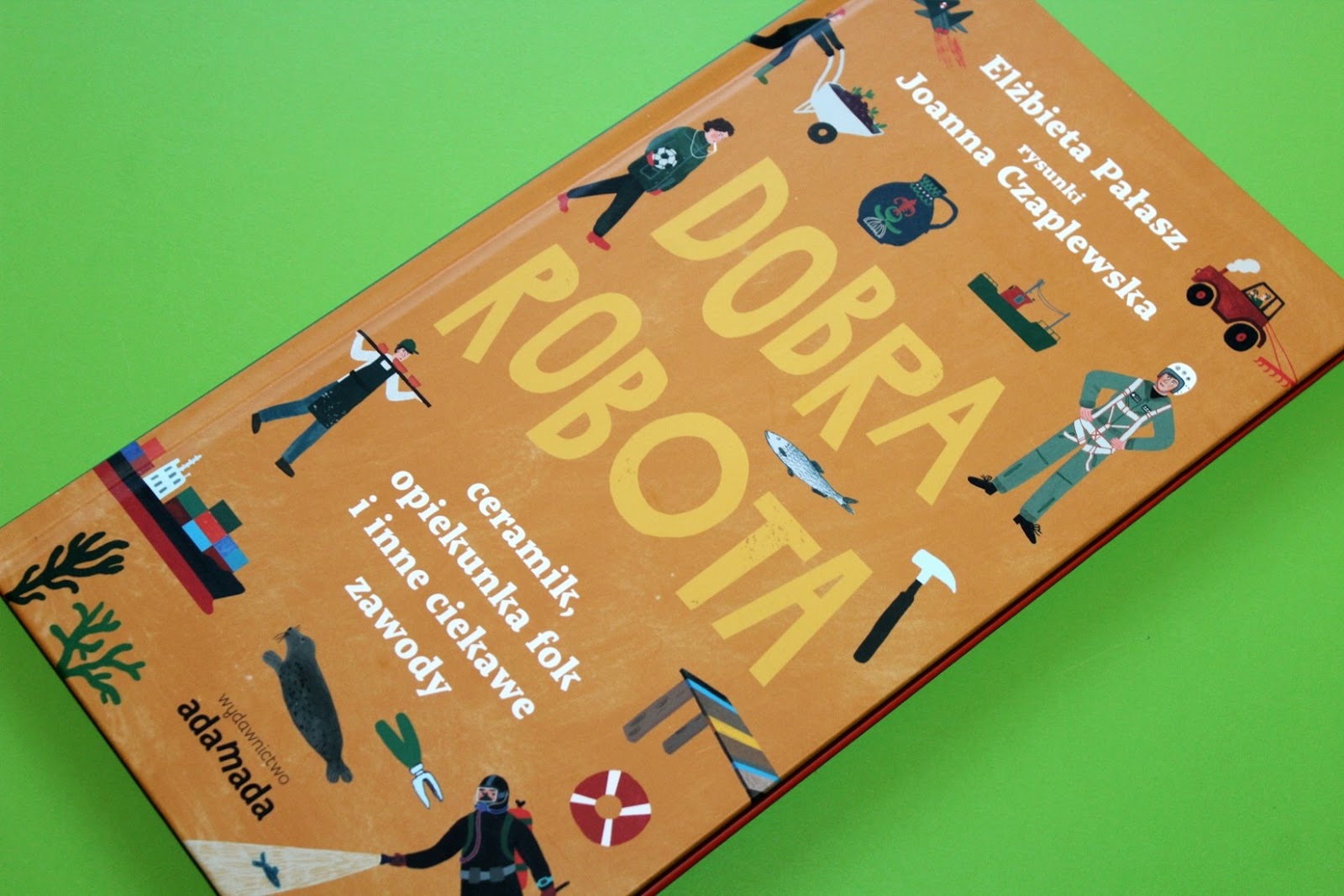 Dobra Robota. Ceramik, opiekun fok i inne ciekawe zawody. - Kusiątka