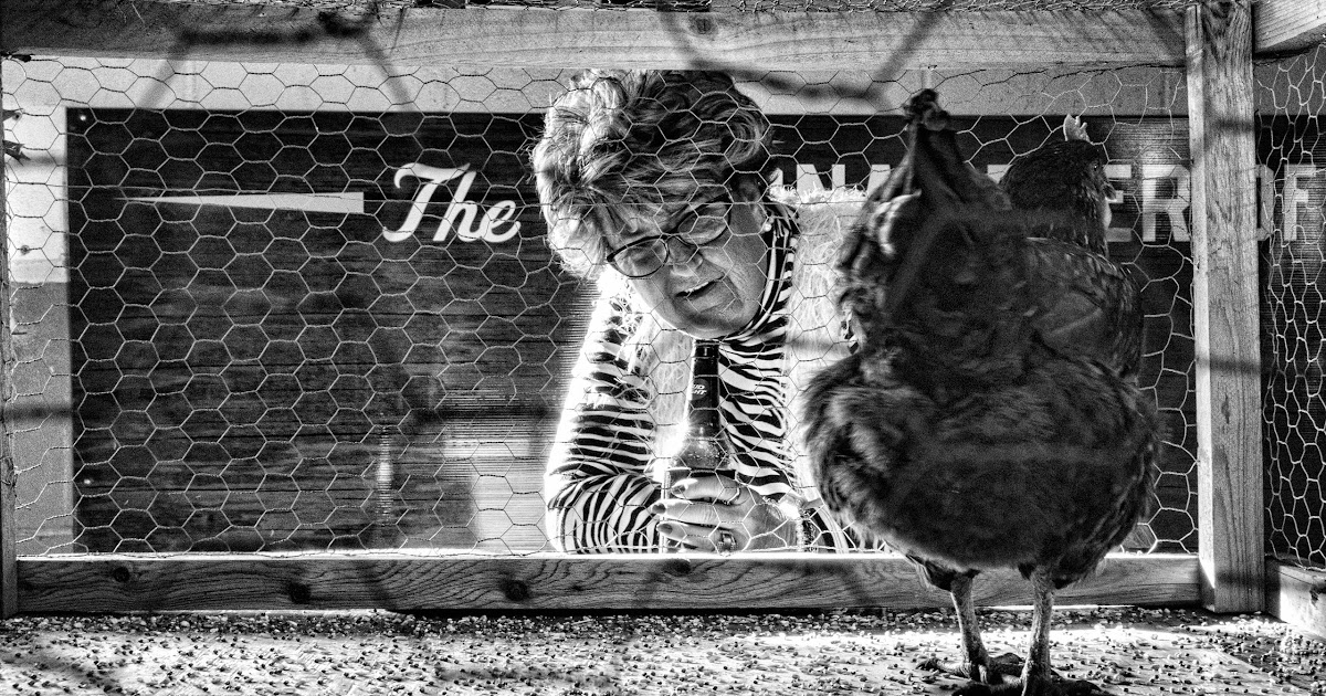 My Photography: Chicken Shit Makes You A Winner