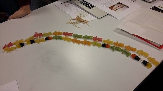 Naturfagblogg : Seigmenn