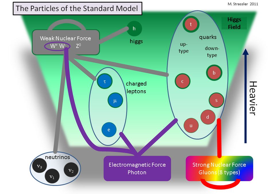 Toán - Cơ học ứng dụng: standard model