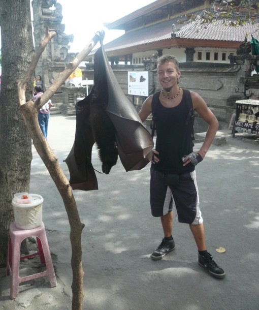 Allan Padget: Zorro Volador Filipino