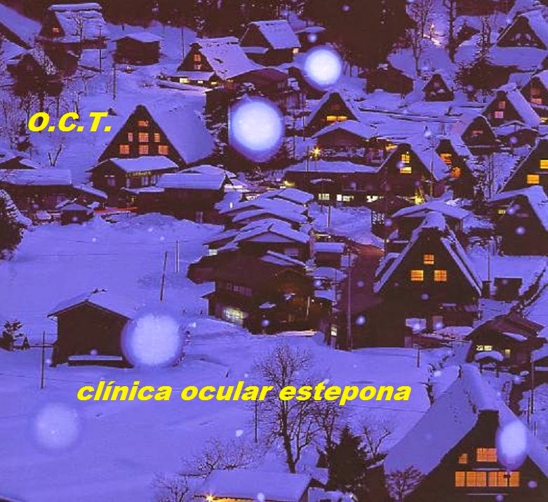 DEGENERACION MACULAR : DMAE...TOMOGRAFIA