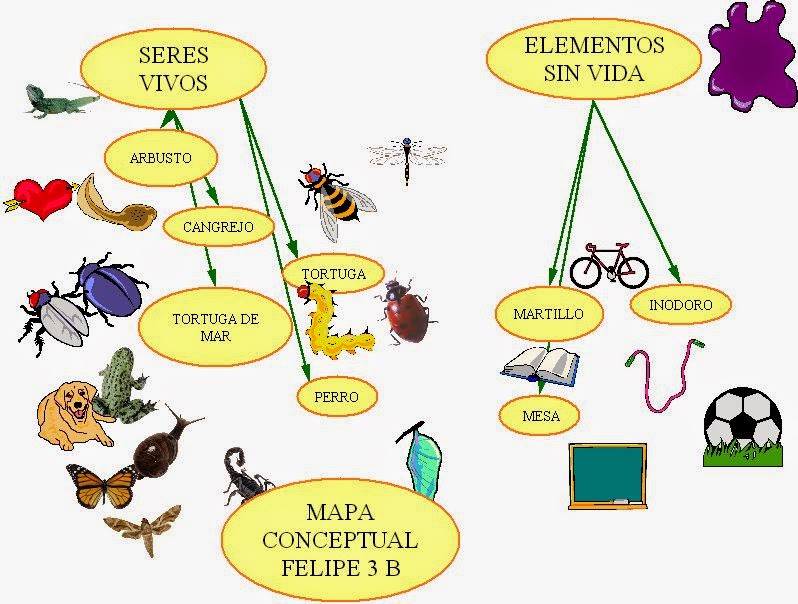 Escuela 11 DE 9 "Manuela Pedraza": Seres Vivos y Elementos SIn Vida - 3 B