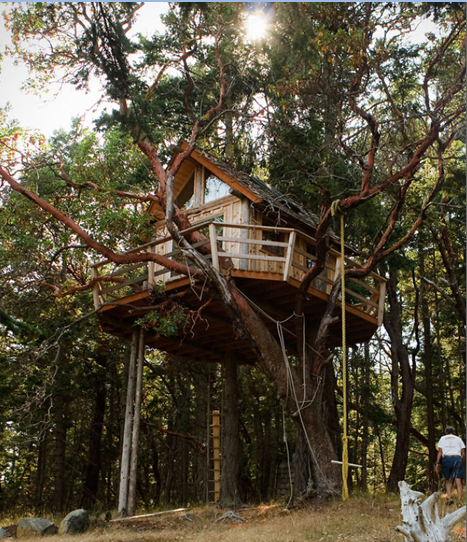 ΤΑΡΑΤΣΟΚΗΠΟΣ...Ο ΚΗΠΟΣ ΤΩΝ ΠΟΛΕΩΝ: Πανέμορφα δεντρόσπιτα από όλο τον κόσμο