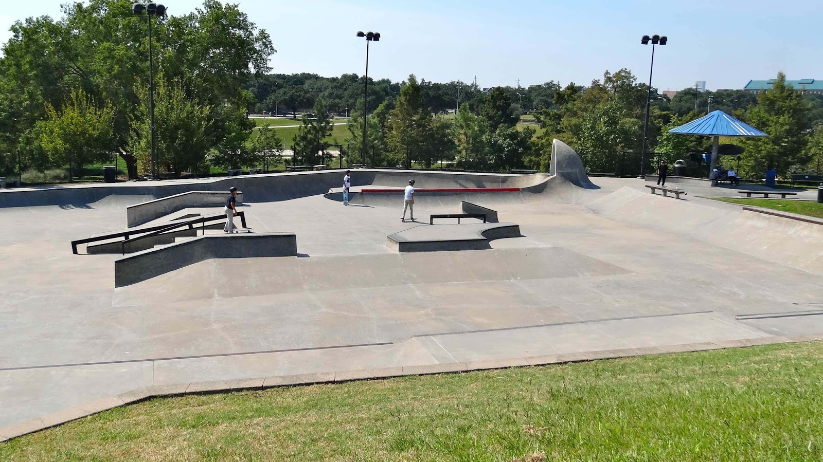 The Bayou Botanist: Buffalo Bayou Boat Ride