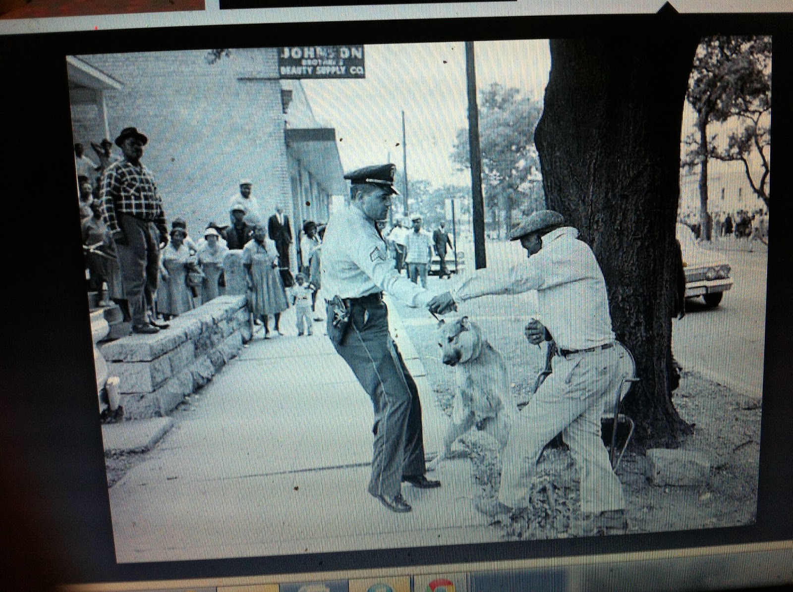 THE BLACK SOCIAL HISTORY:: BLACK SOCIAL HISTORY : " THE SPRINGFIELD ...