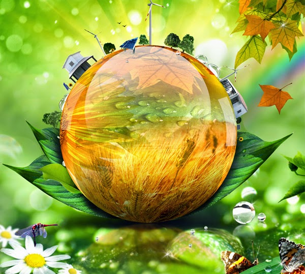 Alimentos ecológicos; todo lo que le ocurra a la tierra, le ocurrirá a ...