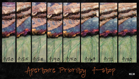 Sweet Leaf Notebook: Beyond Beyond - Day 2 : Patience and Aperture Priority