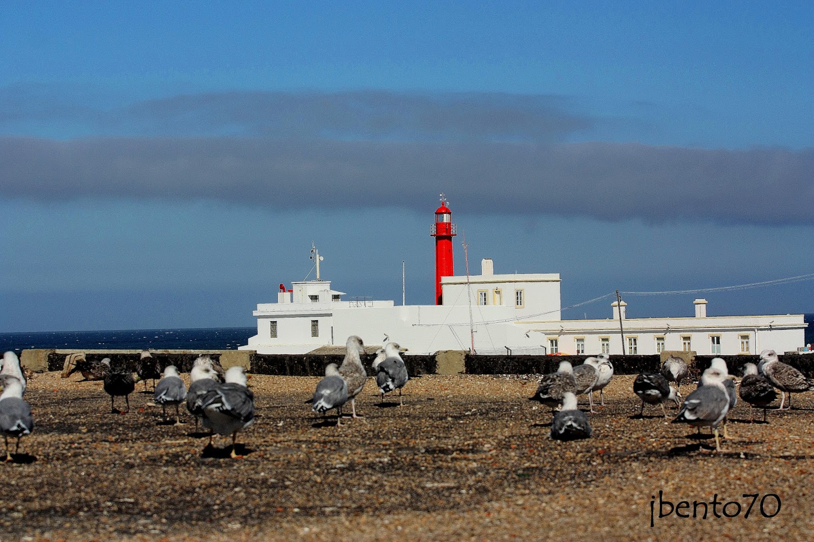 Birding Cascais: Cabo Raso